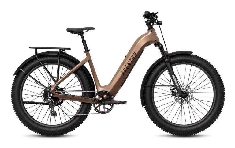 15 Reasons to/NOT to Buy Bakcou Mule (Sep 2025) | BikeRide