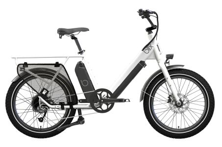 17 Reasons to/NOT to Buy Blix Dubbel (Jan 2026) | BikeRide