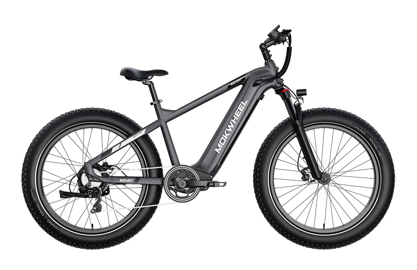 22 Reasons to/NOT to Buy Mokwheel Basalt | BikeRide