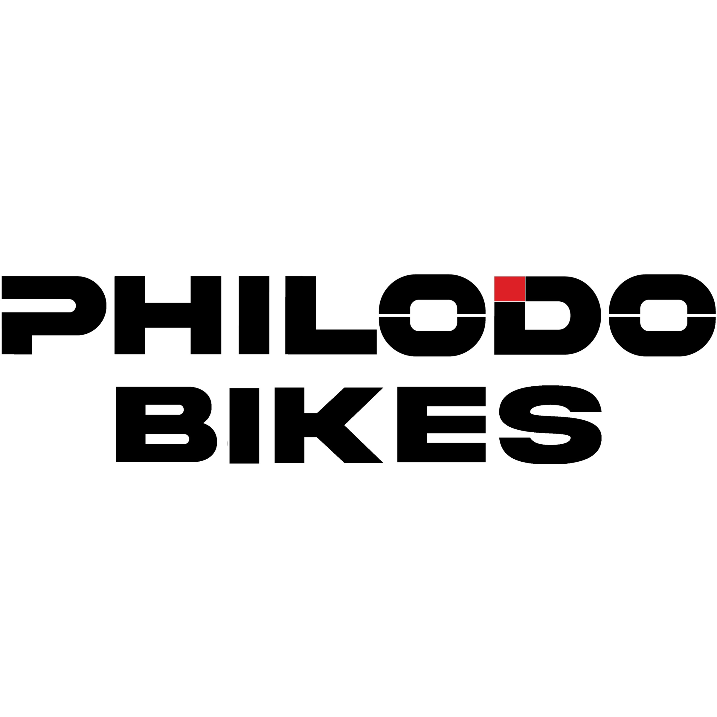 18 Reasons to/NOT to Buy Philodo H8 (Dec 2024) | BikeRide