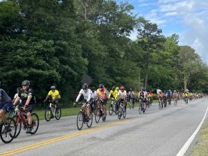 Bike Rides in Georgia: Cycling Events Calendar 2025 & 2026
